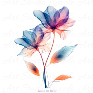 Abstract Floral Clipart Bundle: Watercolor Flower Pngs (digital ...