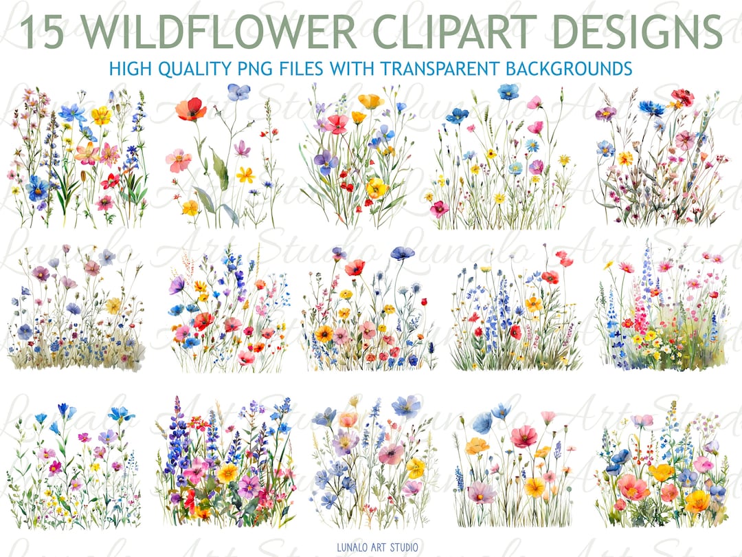 Watercolor Wildflower Meadow Clipart Bundle: Floral PNG Borders ...