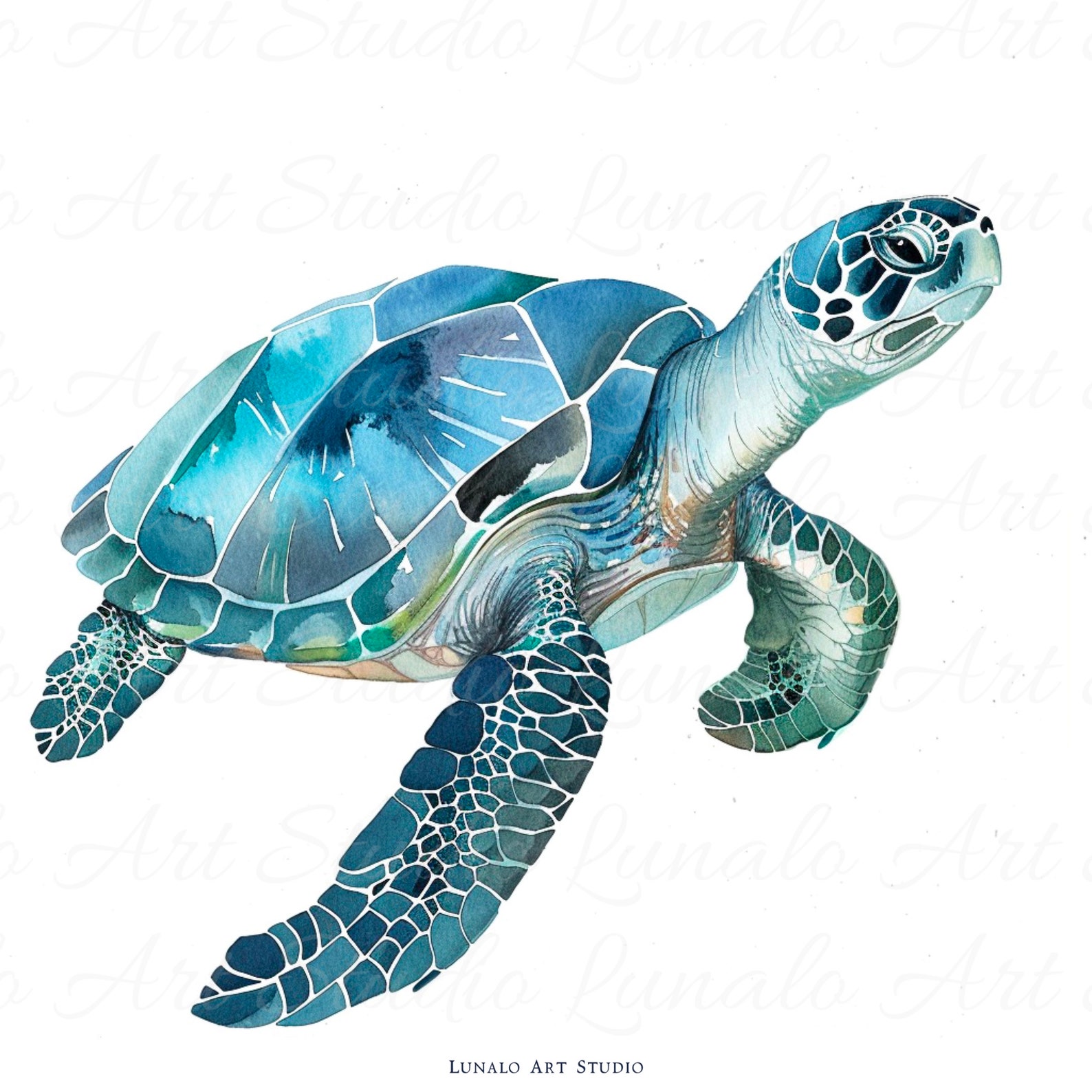 Watercolor Sea Turtle Clipart: Set of 10 Turtle Art (JPG Digital ...