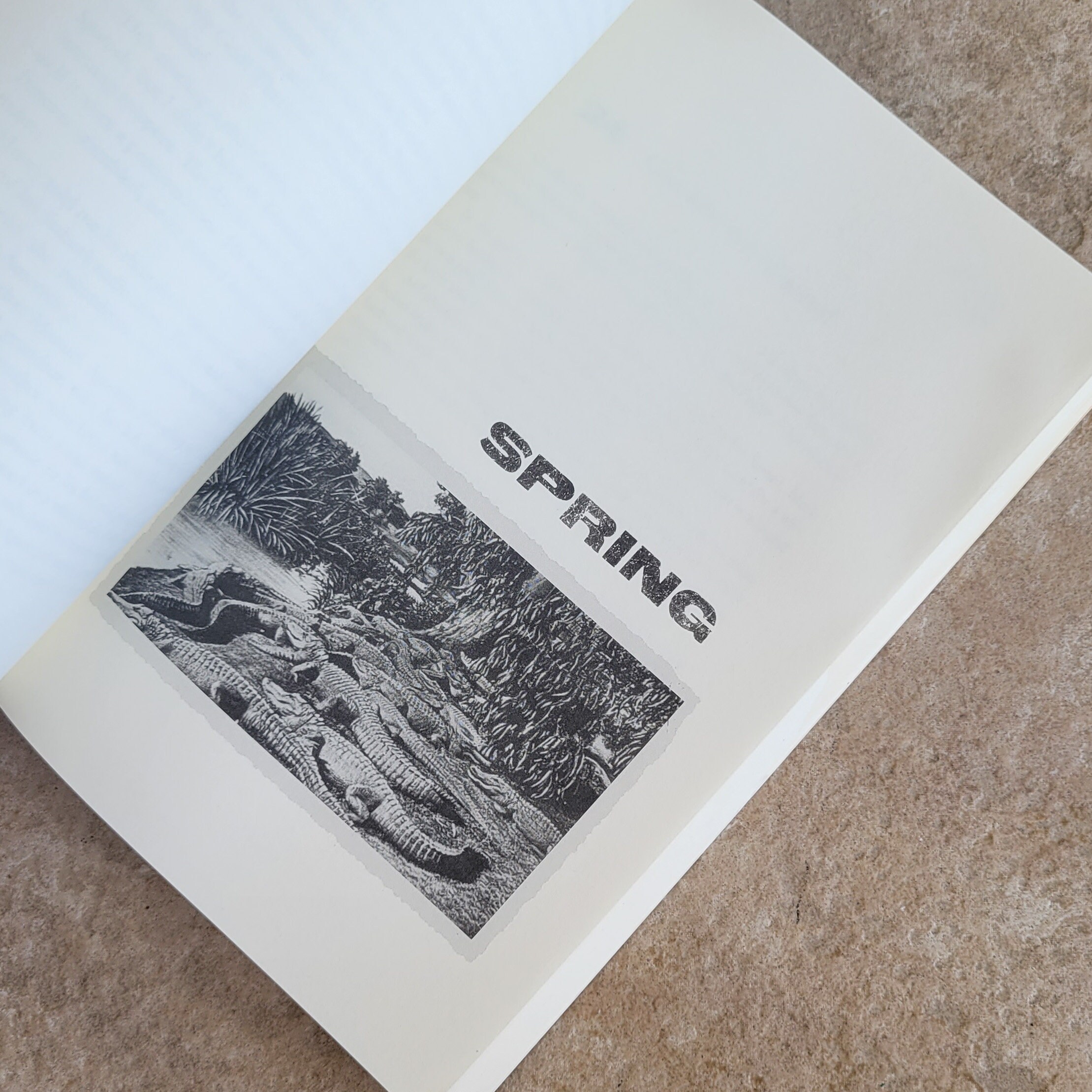 Seasons of the Real Florida Vintage Book Florida Lover Gift Jeff ...