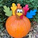 Turkey Pumpkin Kit - Etsy