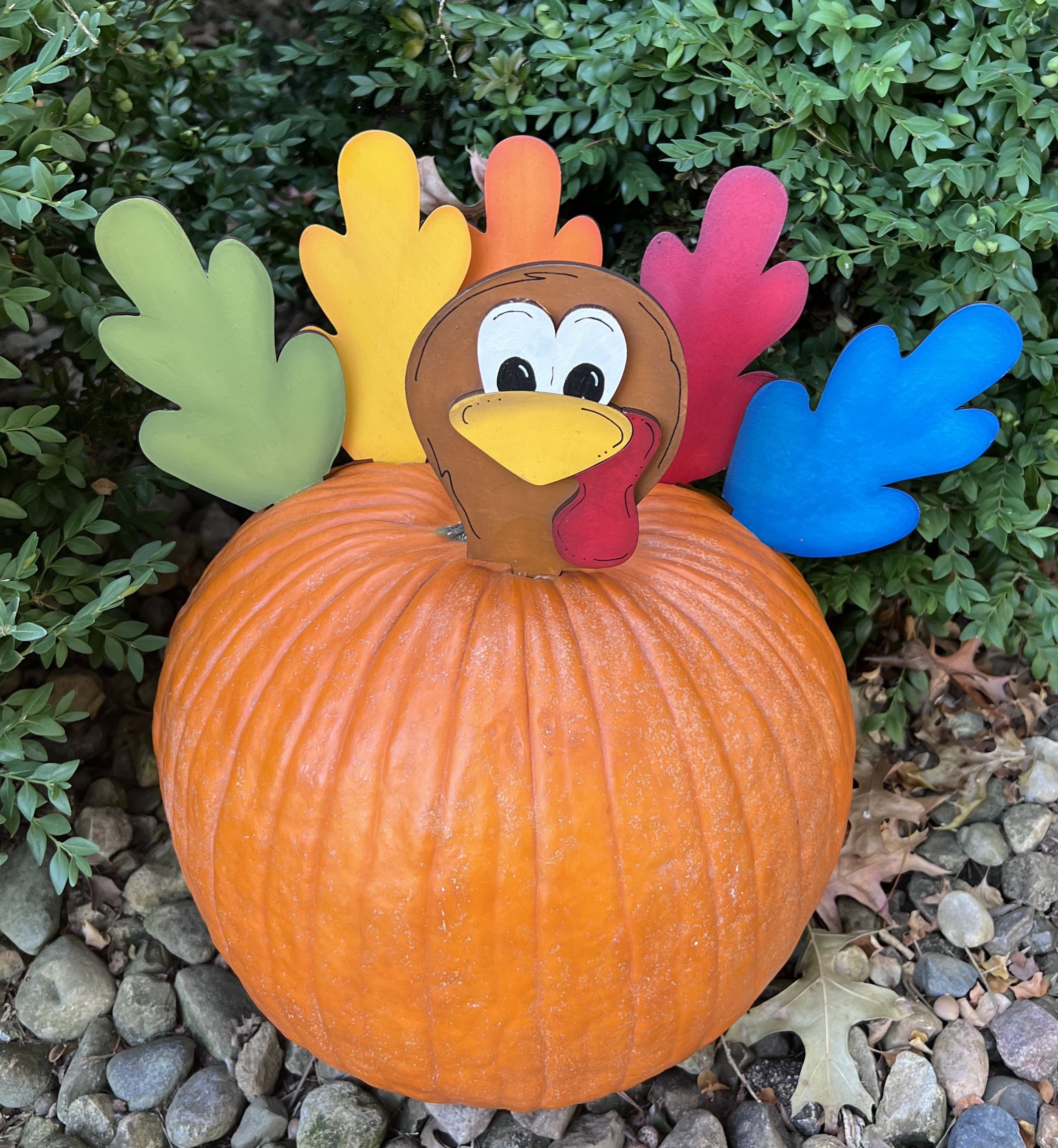 Turkey Pumpkin Kit - Etsy