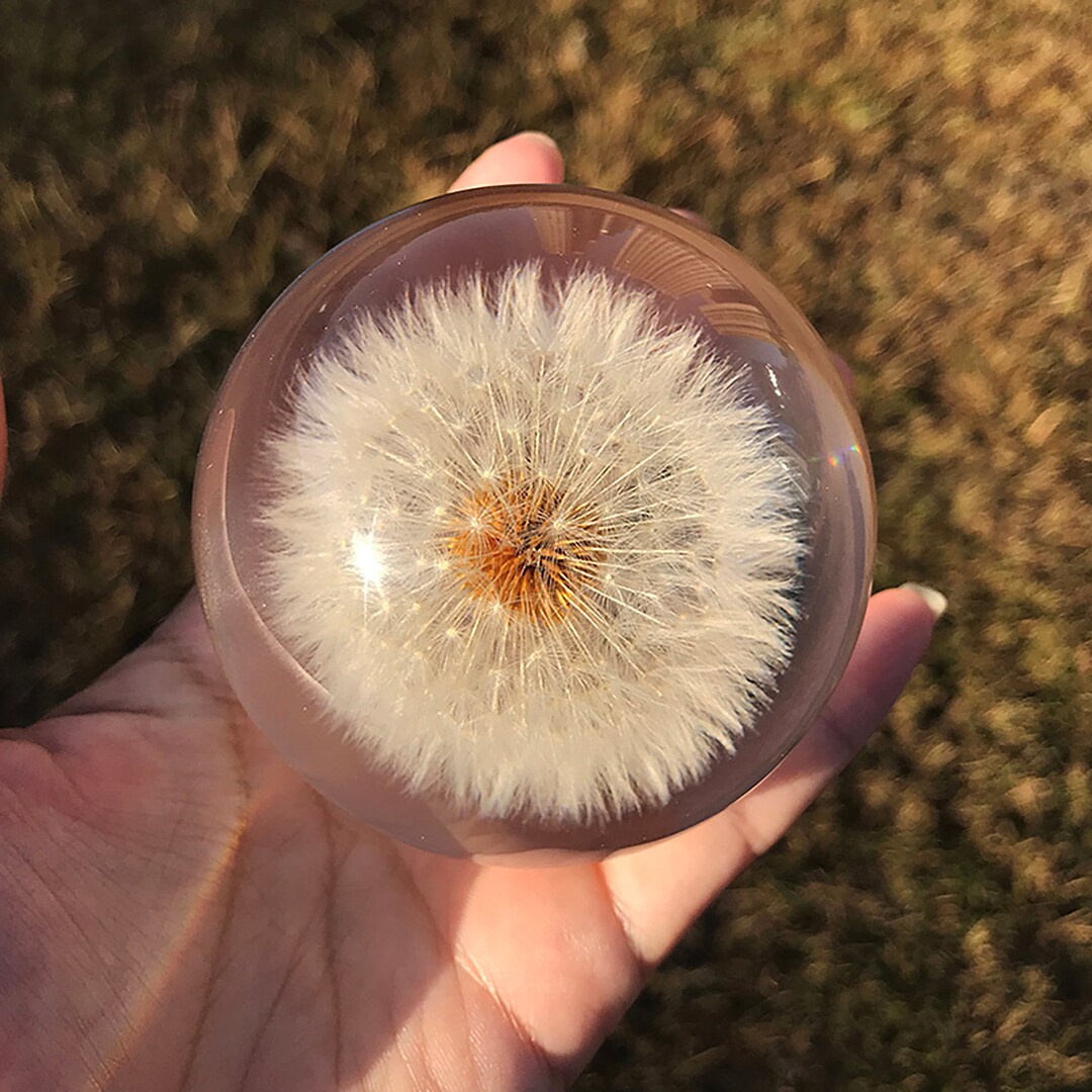 Dandelion Seeds in Resin Dandelion Gifts for Her Him College Graduation ...
