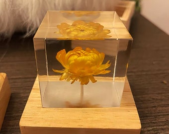 Resin Cube Art - Etsy