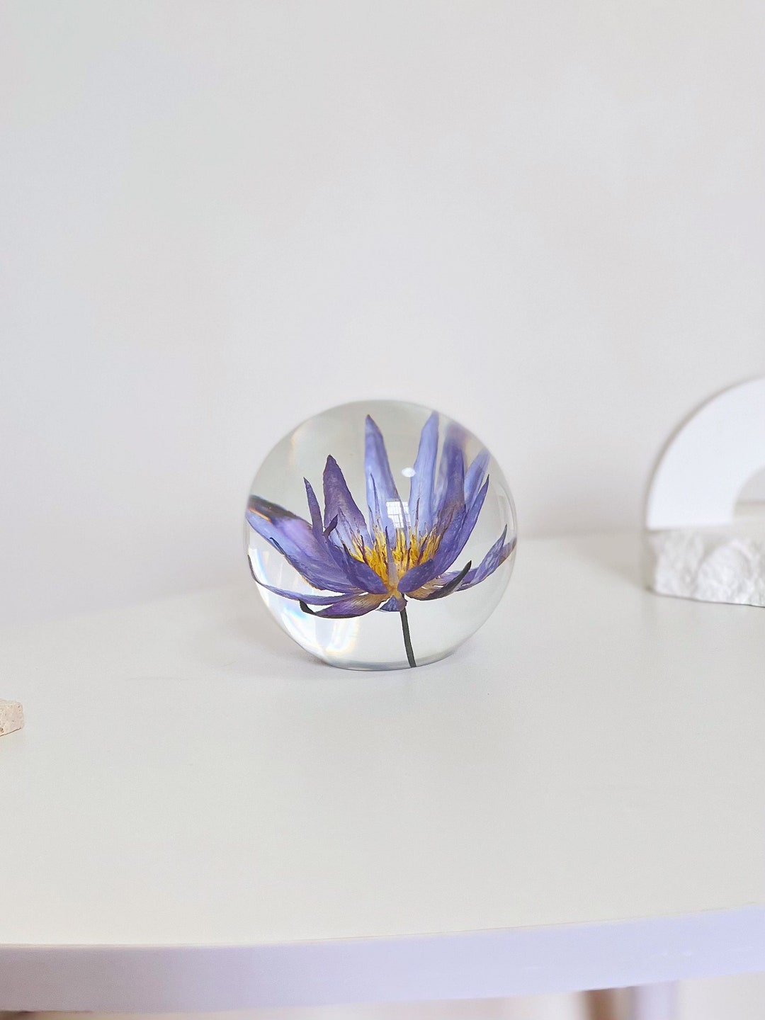 Water Lilies Preserved in Resin Sphere Lotus Flower Resin Gifts for Her ...
