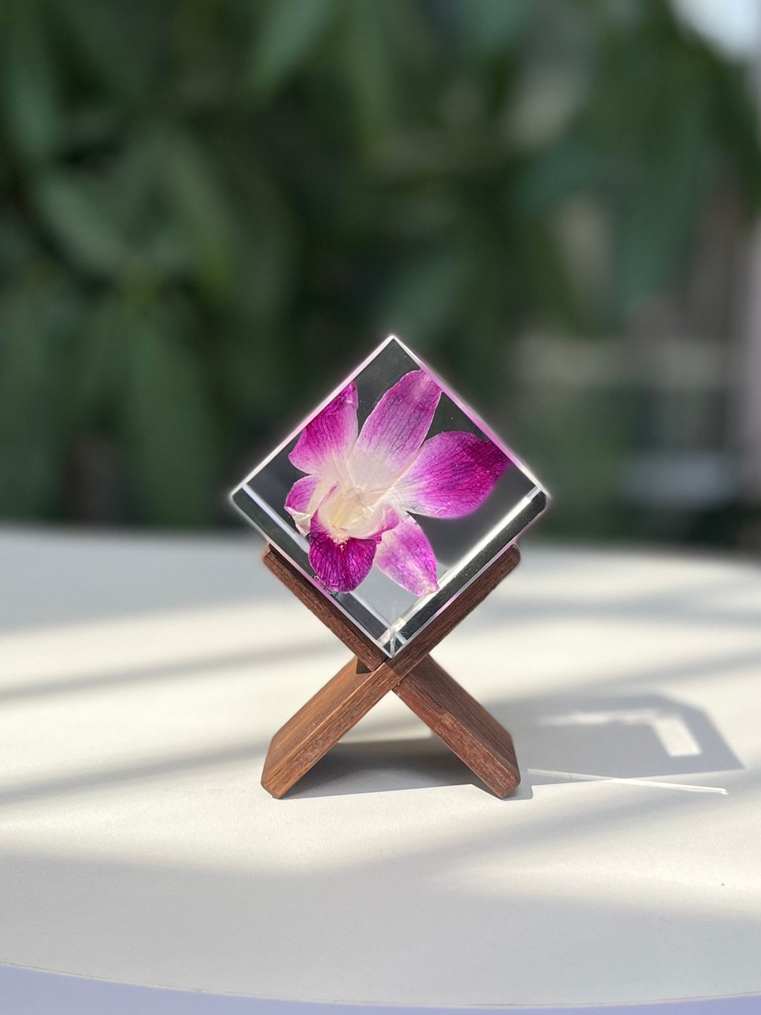 Purple Orchid Cattleya Sunne Tropical Orchid Resin Cube Shelf Desk ...