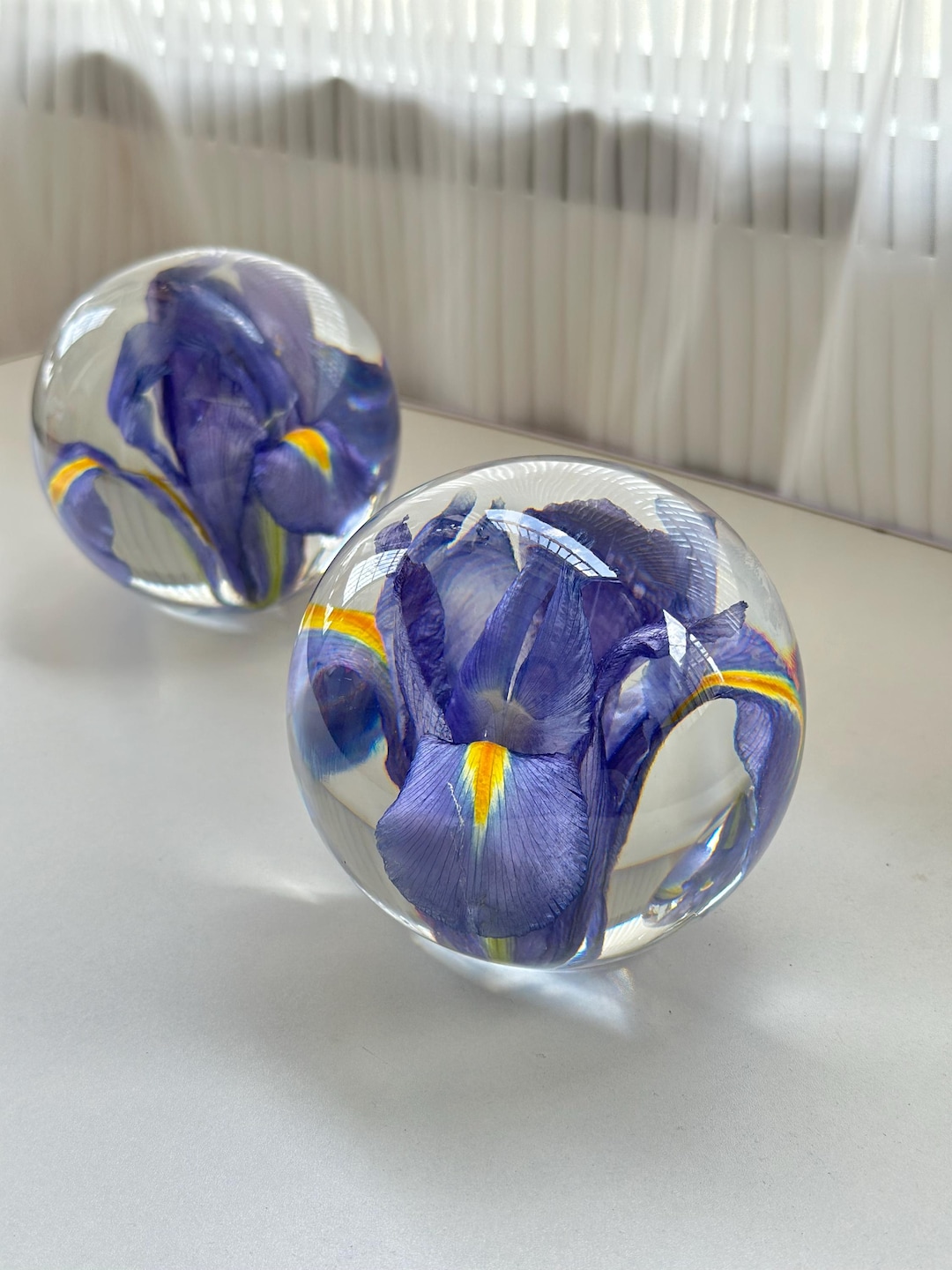 Preserved Purple Iris Resin Sphere: Floral Keepsake Gift - Etsy