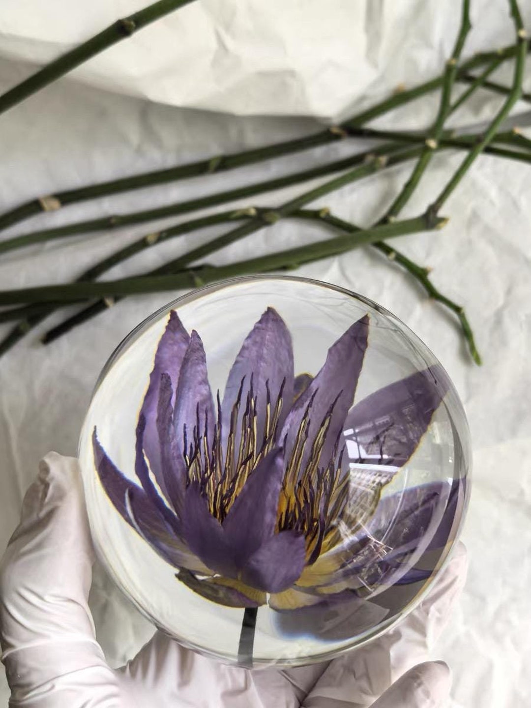 Water Lily Resin Sphere: Preserved Lotus Flower Ornament - Etsy