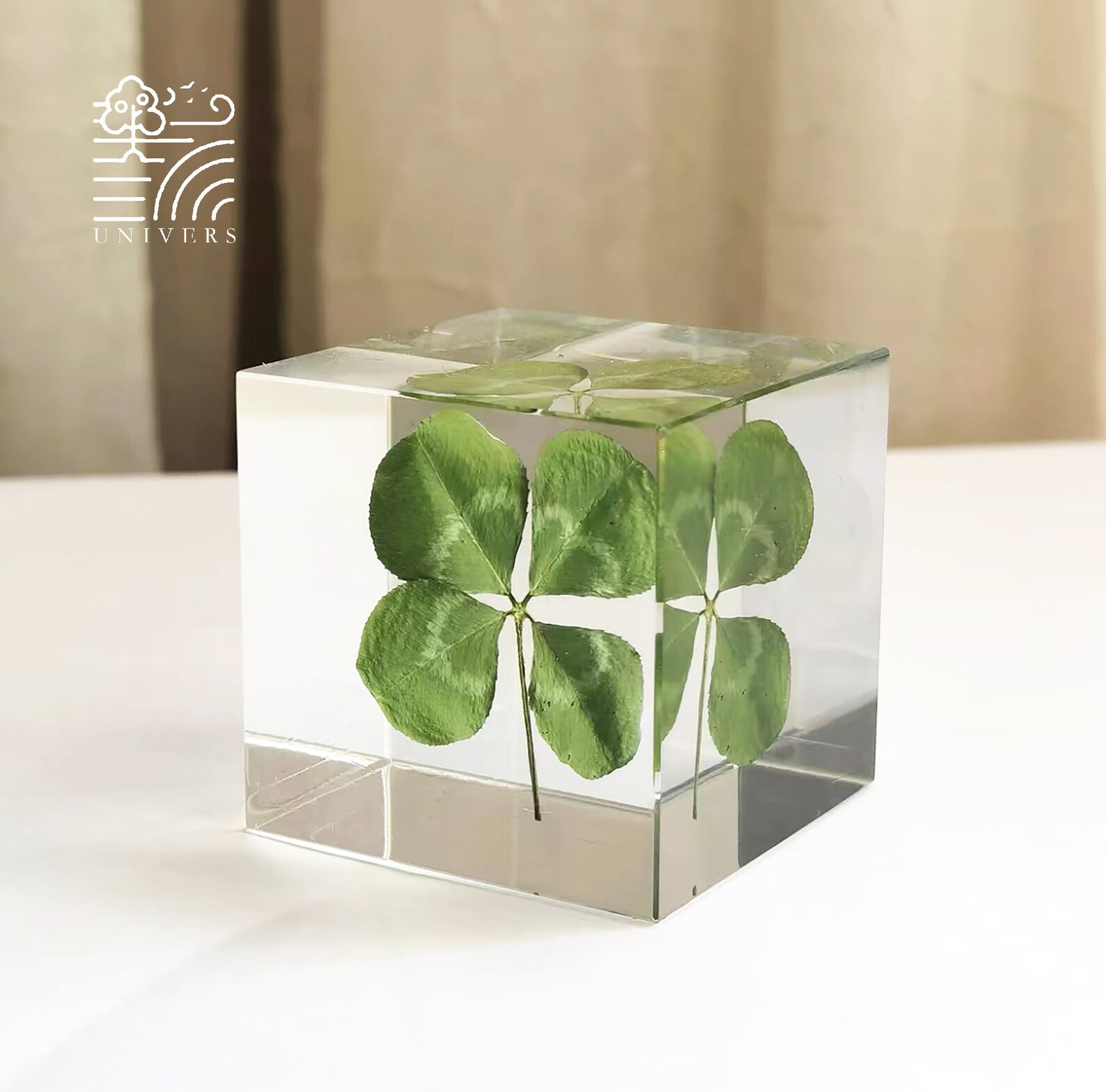 Real Four Leaf Clover Set in Resin True 4-leaf Clover Good - Etsy