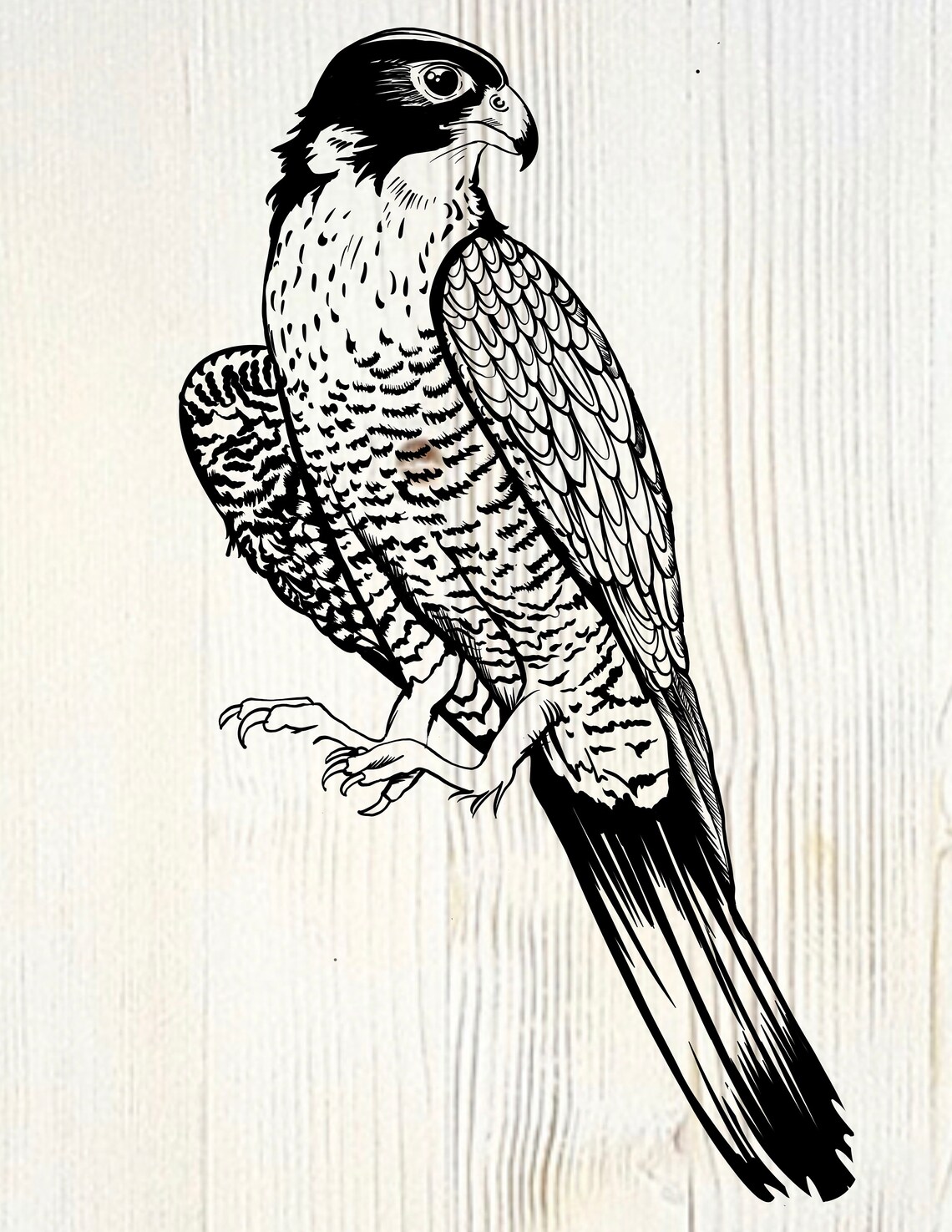 Hawk Vector DXF, SVG, PNG, Jpeg Files for Laser Cutter, Laser Printer ...