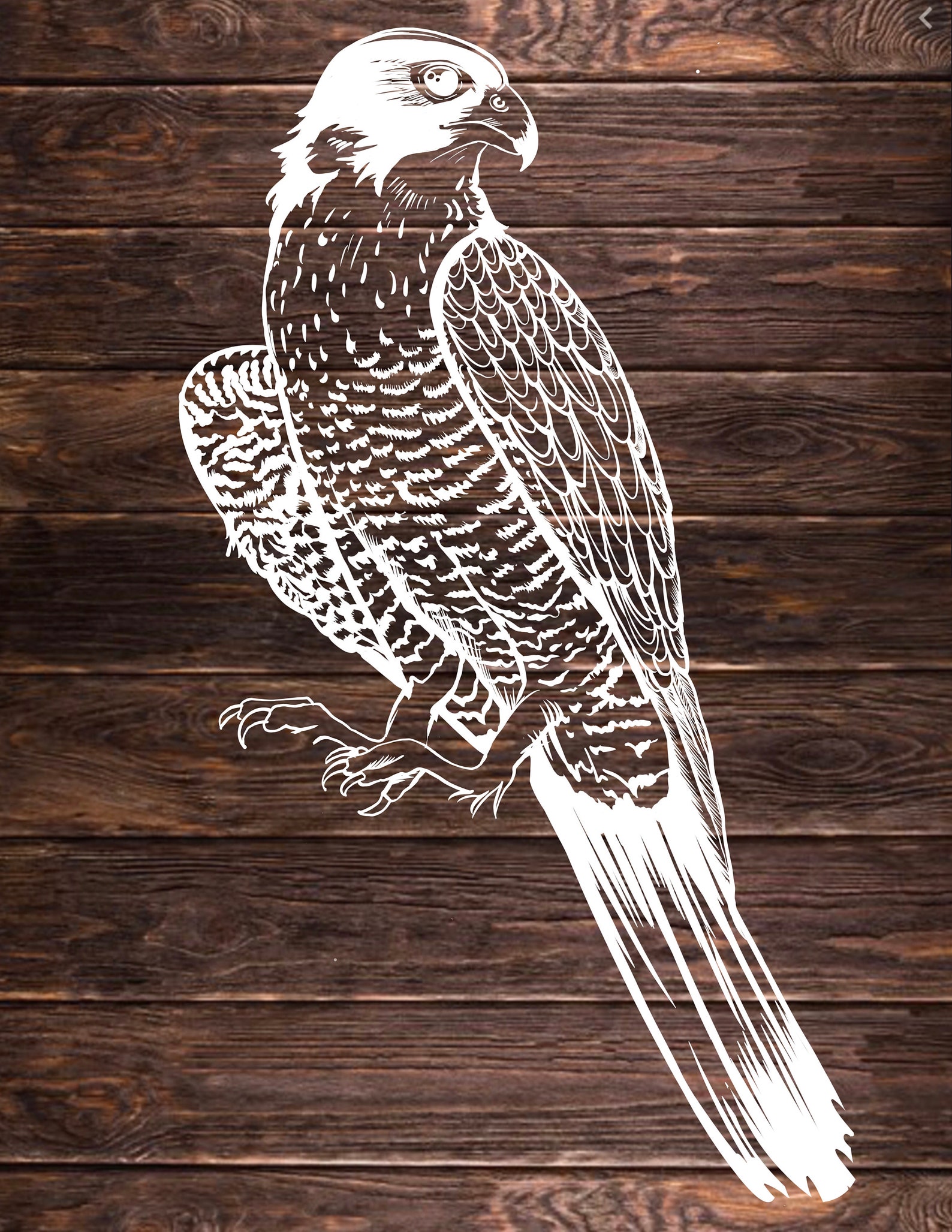 Hawk Vector DXF, SVG, PNG, Jpeg Files for Laser Cutter, Laser Printer ...