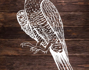 Hawk Vector DXF SVG PNG Jpeg Files for Laser Cutter Laser | Etsy