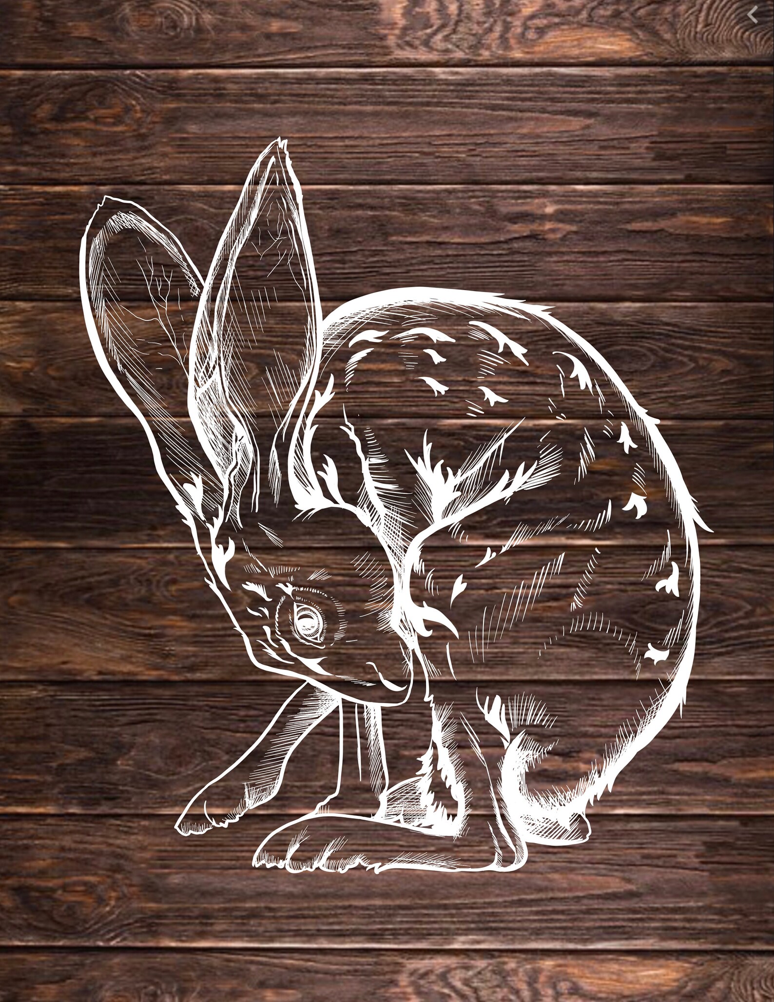 Rabbit Realistic Vector Files DXF SVG Jpeg PNG Files for - Etsy