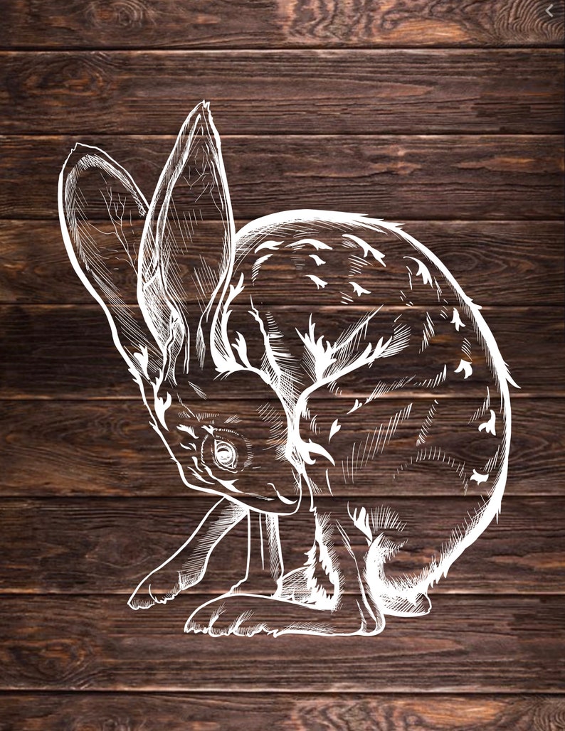 Rabbit Realistic Vector Files, DXF, SVG, Jpeg, PNG Files for Nature ...