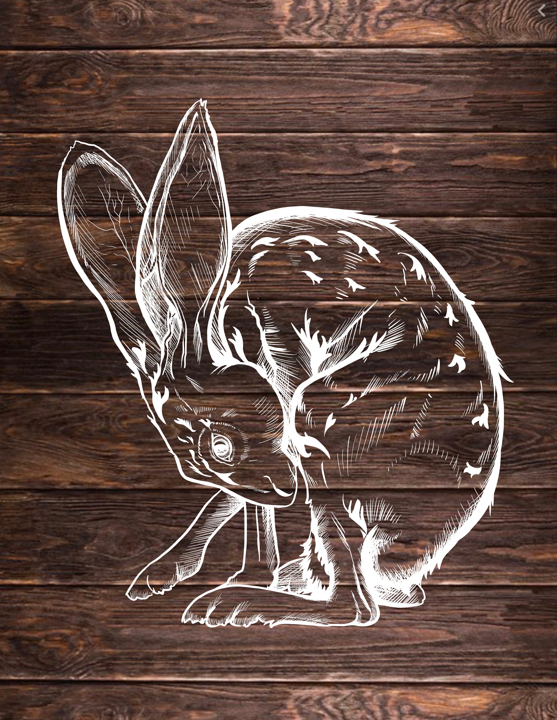 Rabbit Realistic Vector Files, DXF, SVG, Jpeg, PNG Files for Nature ...