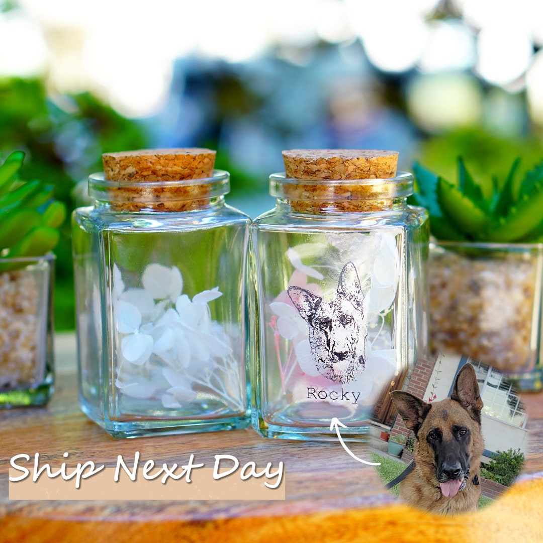 Pet Fur Memorial Jar Hair Keepsake for Tooth Dog Ashes Memorial Fur Jar ...