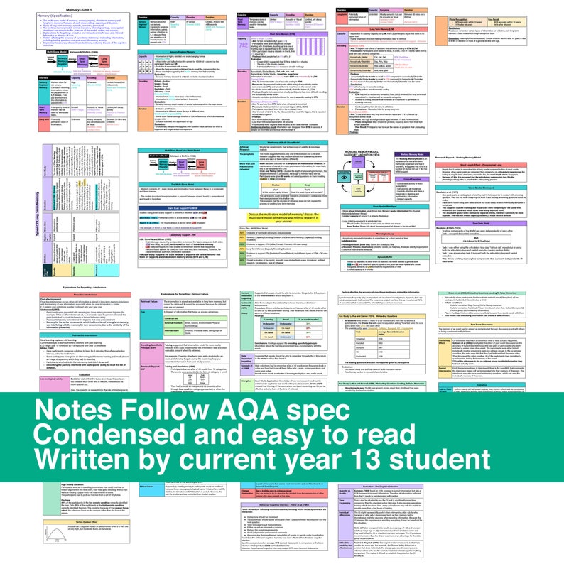 AQA A Level Psychology - Memory PDF Notes - Etsy