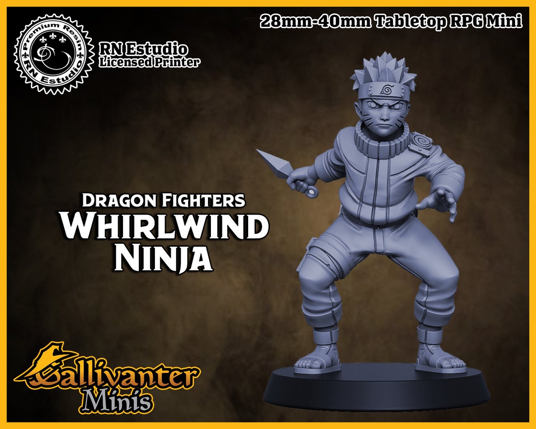 Whirlwind Ninja RN Estudio 28mm 32mm 35mm 40mm Dnd Pathfinder Resin ...