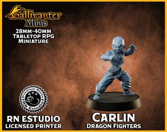 Dnd Turtle Mini - Etsy