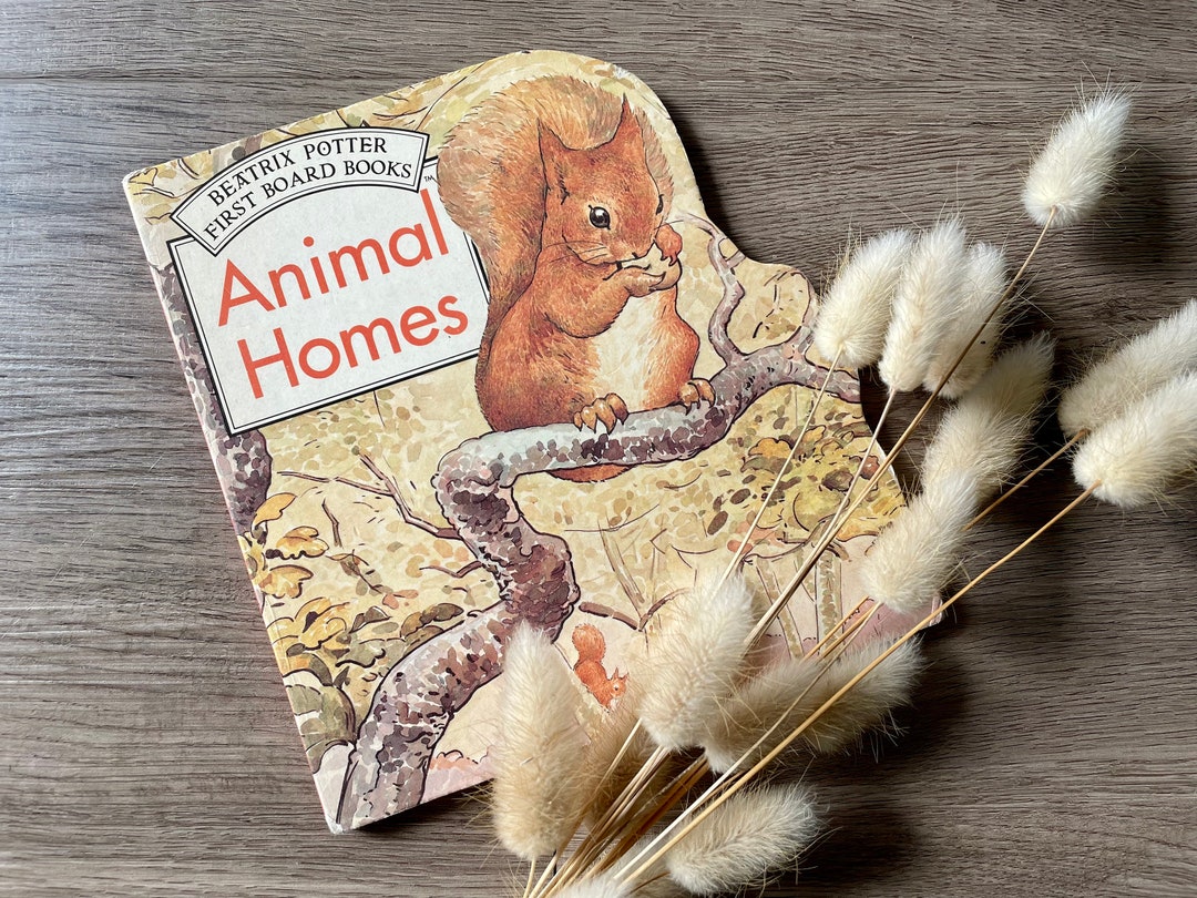 Beatrix Potter First Board Books Animal Homesboard Book - Etsy