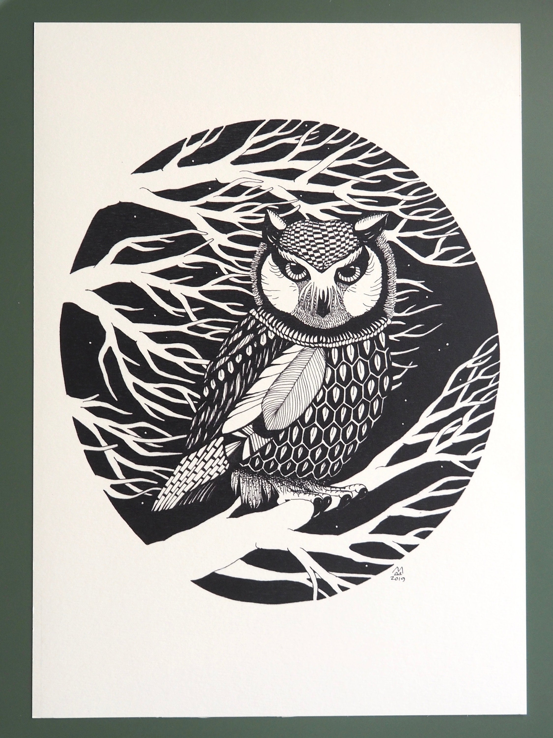 Owl In Tree Drawing