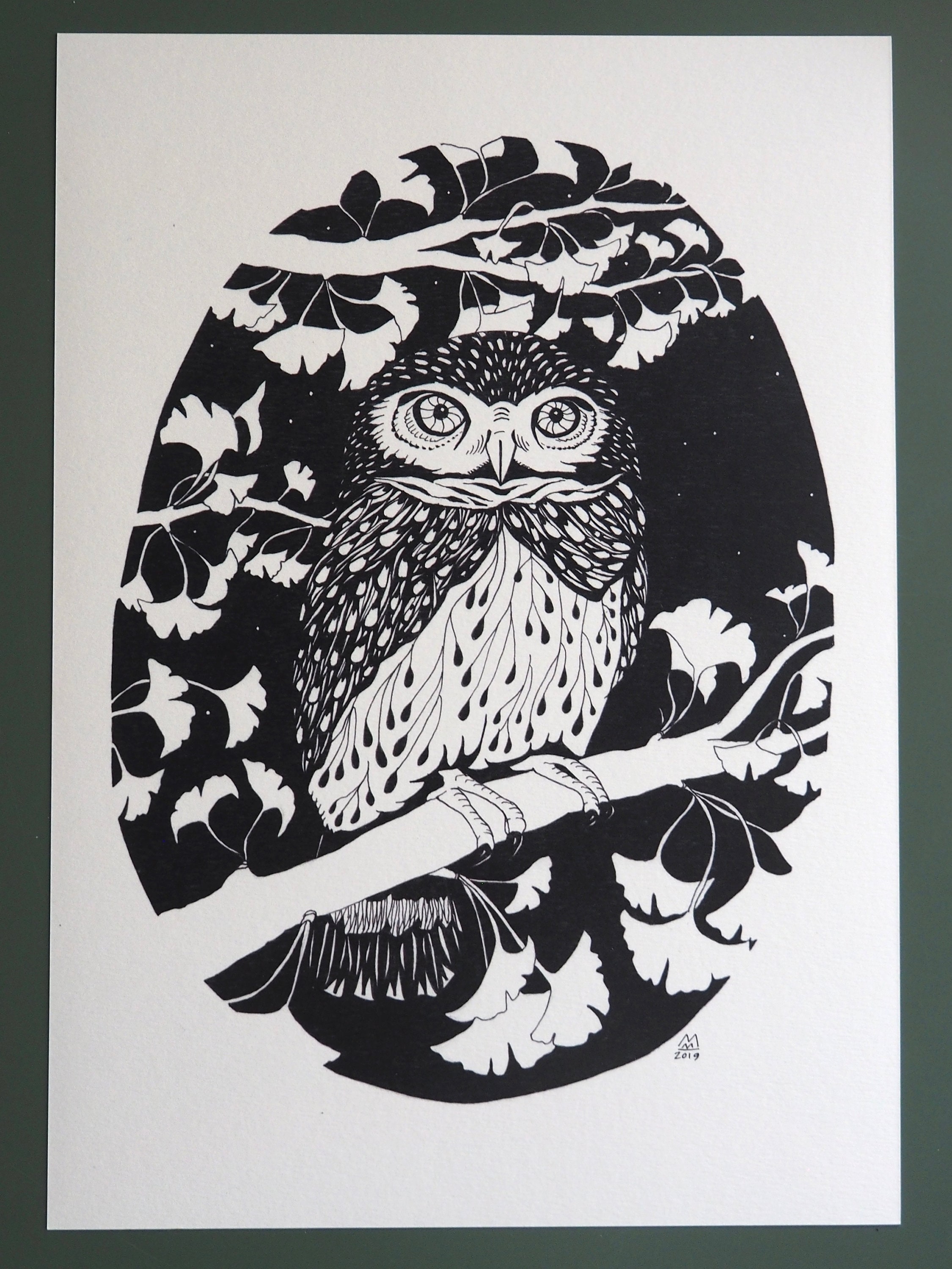 Owl In Tree Drawing