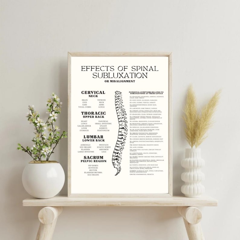 Chiropractic Meric Chart / Spinal Nerve Artwork / Poster - Etsy
