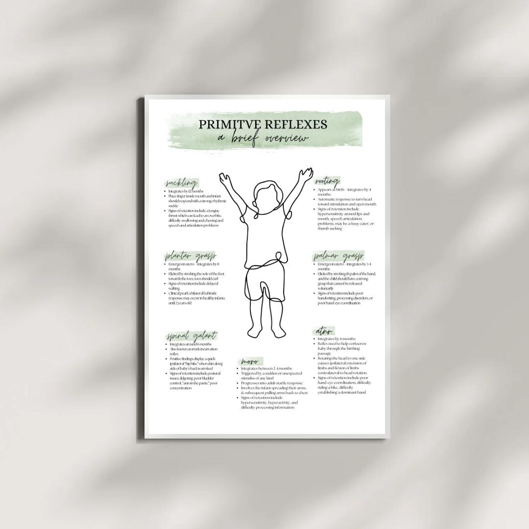 Primitive Reflex Poster / Handout Design 2 - Etsy