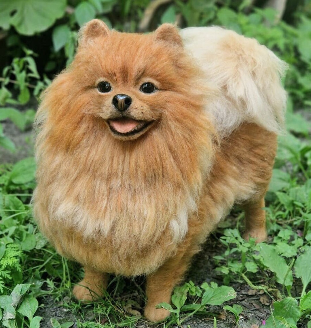 Felted Dog Sculpture 3D Realistic Dog Realistic Art Doll - Etsy