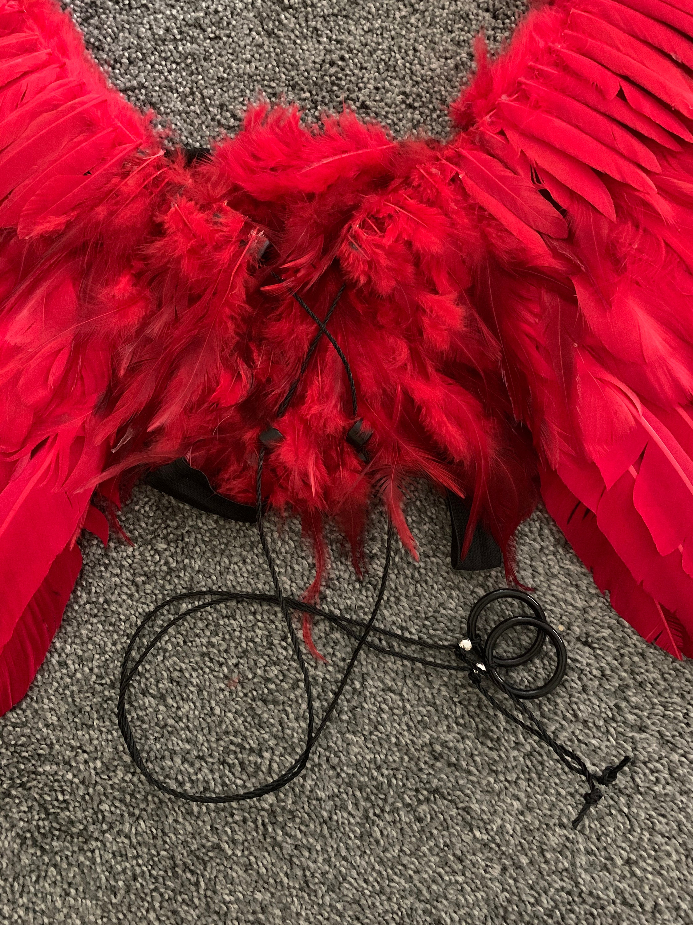 Feathered Wings | Etsy