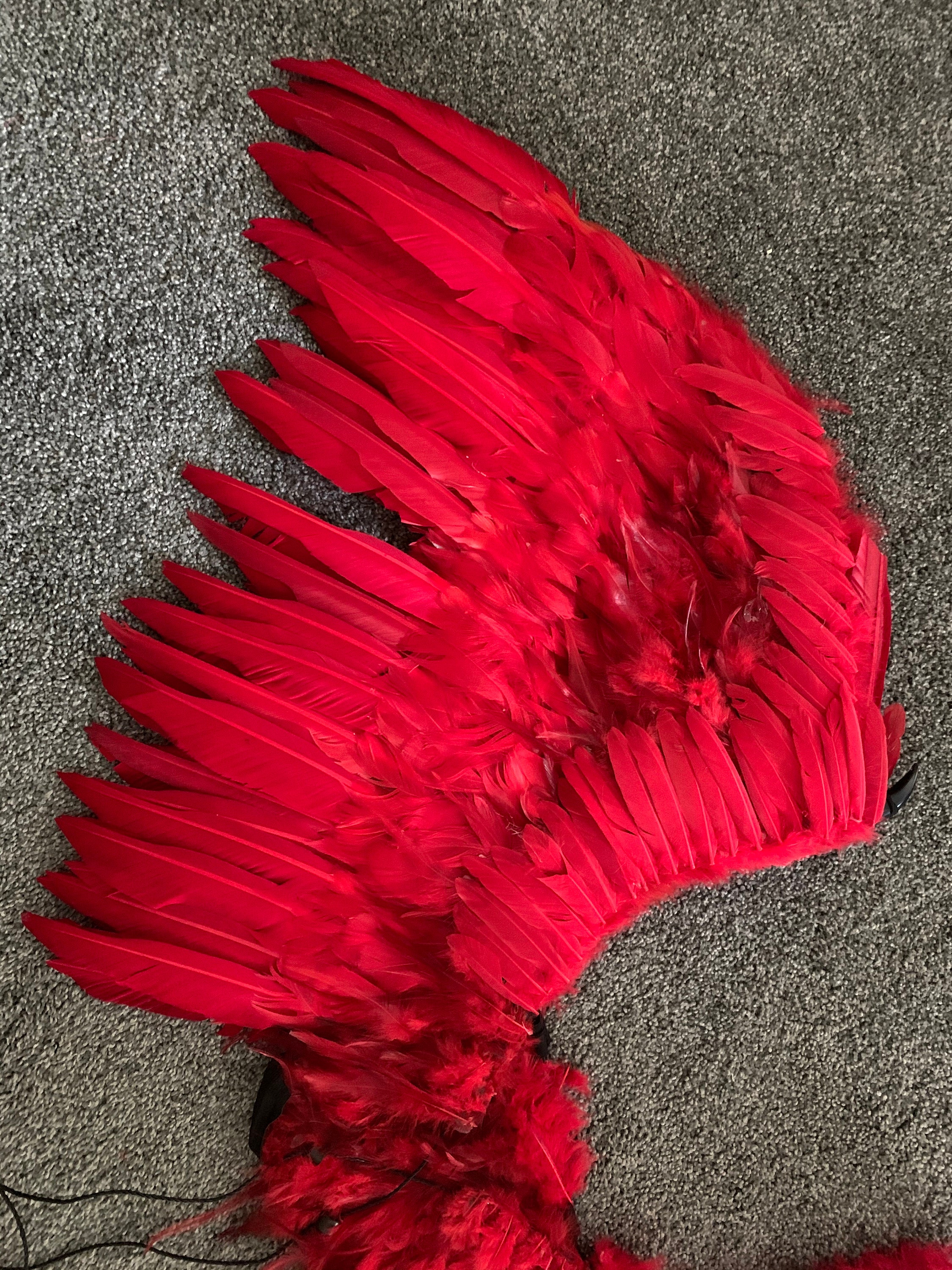 Feathered Wings | Etsy