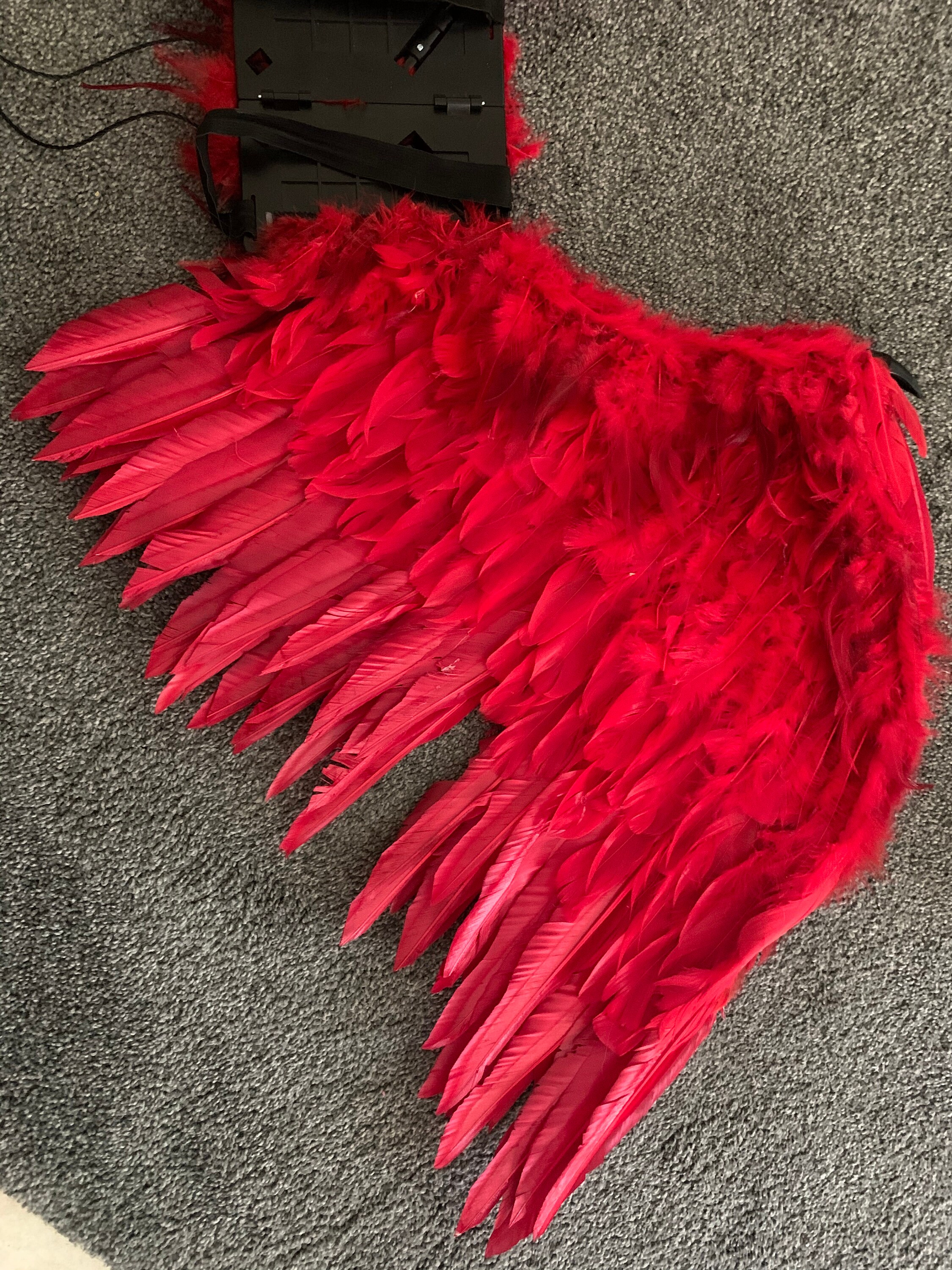 Feathered Wings | Etsy