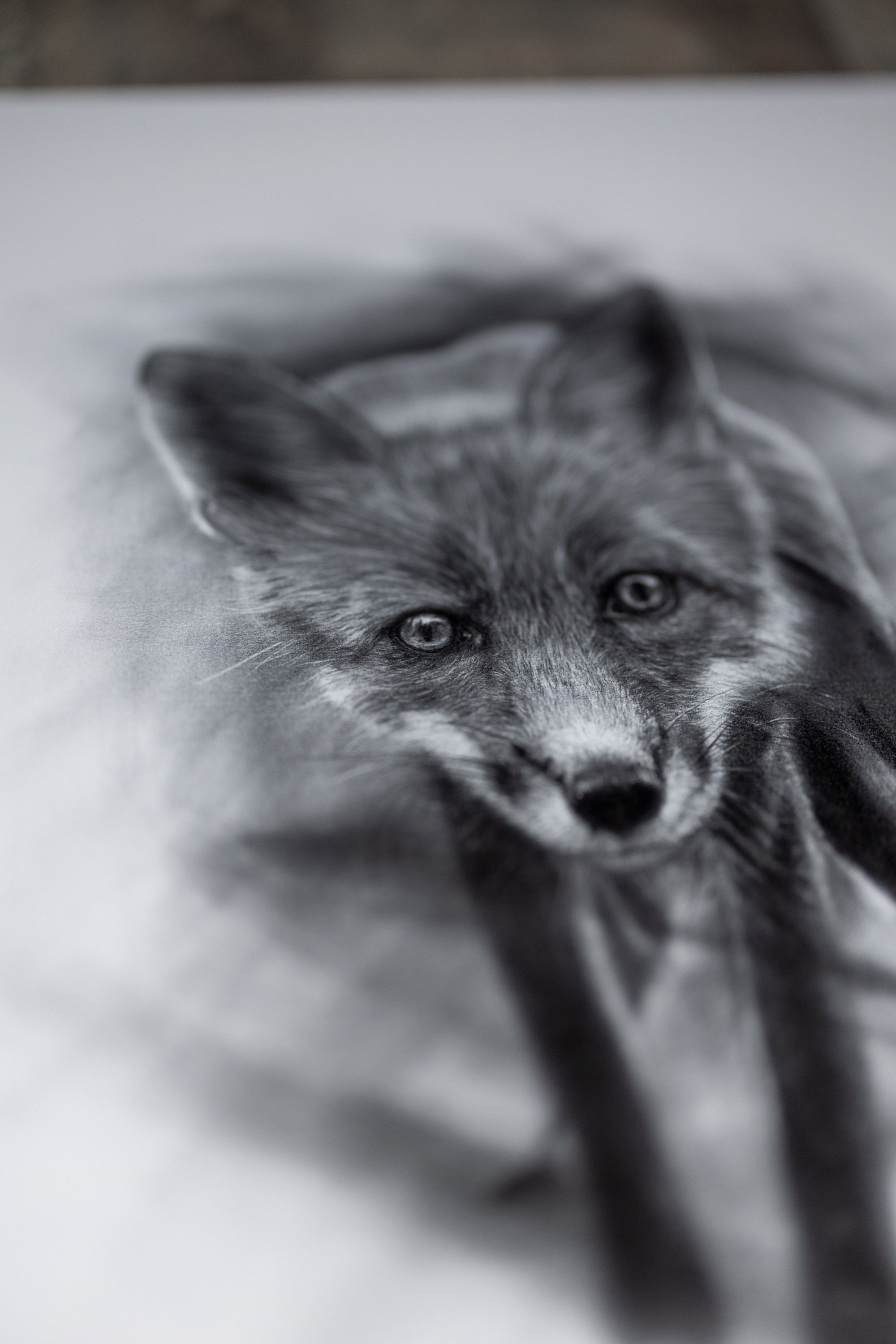 Fox Print Irish Wildlife Art A3 A4 A5 Fox Lover Gift - Etsy