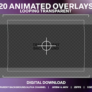 Animated Webcam Border Overlay: Vintage Camera Stream Decoration ...