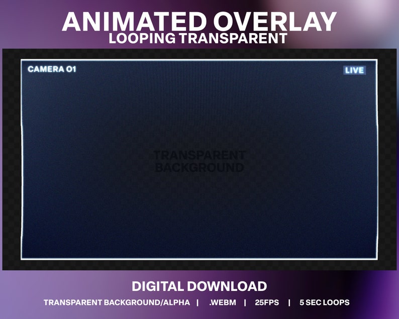 Animated CCTV Overlay Stream Pack | Web Cam Border Security Footage ...