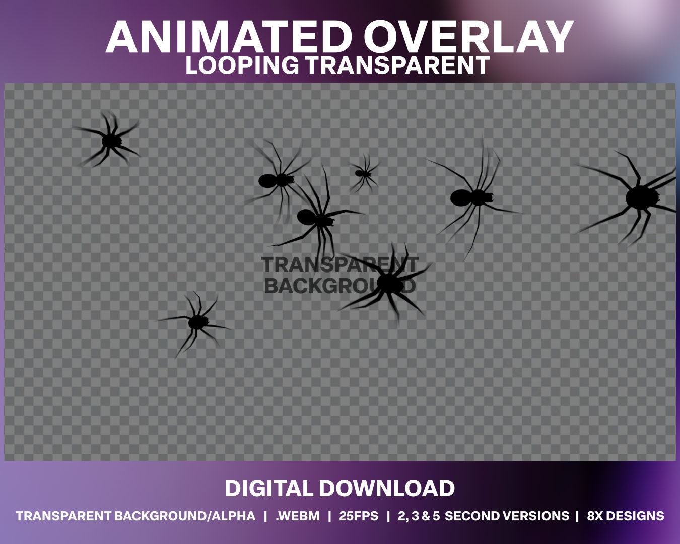 Animated Spider Stream Overlay: Halloween Twitch Decoration (digital ...