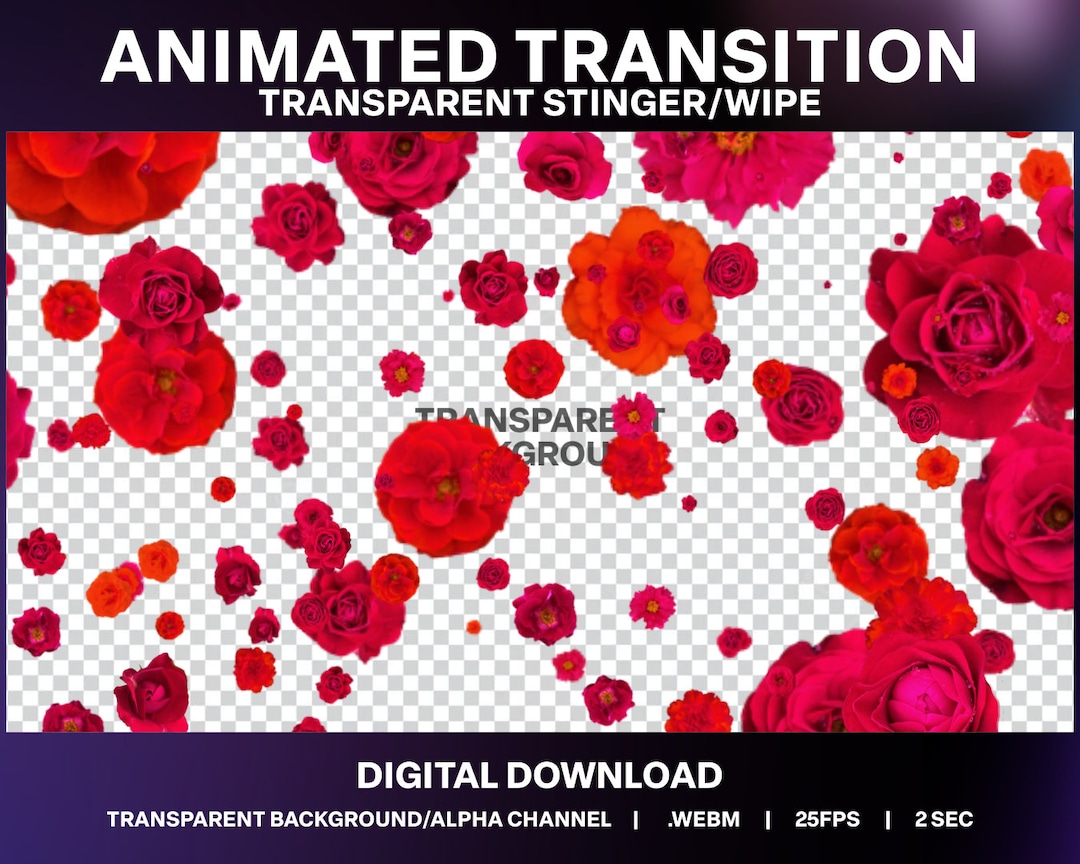 Red Roses Animated Transition | Valentine Twitch Stream Transition ...