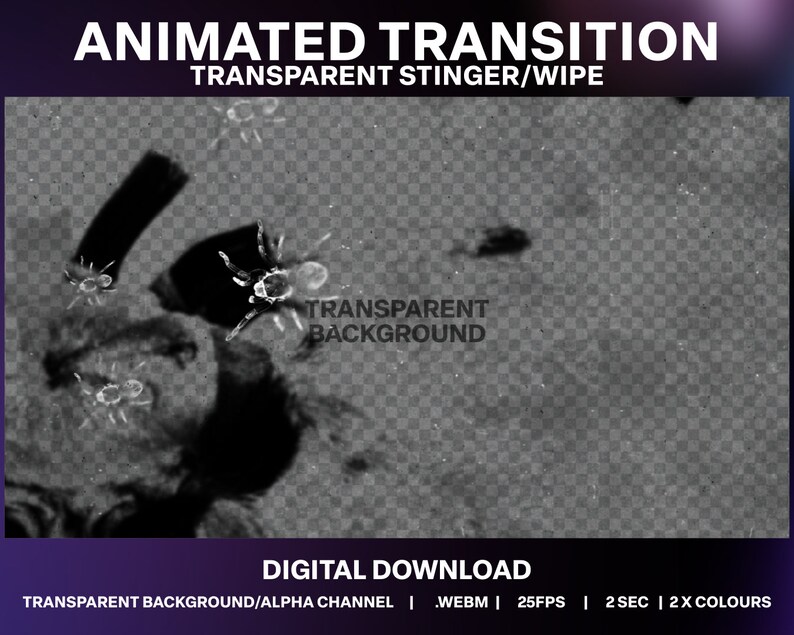 Horror Spiders Glitch Animated Transition: Halloween Stream Overlay ...