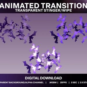 Bat Swarm Animated Stream Transition: Halloween Twitch Stinger (digital ...