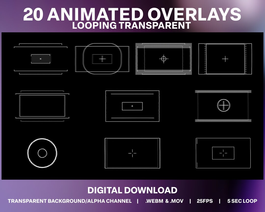 Animated Webcam Border Overlay: Vintage Camera Stream Decoration ...