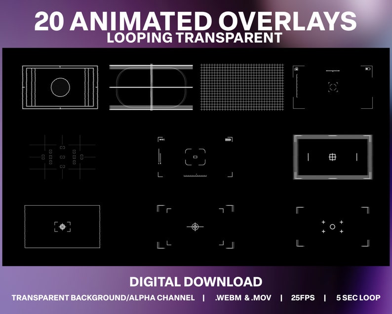 Animated Webcam Border Overlay: Vintage Camera Stream Decoration ...