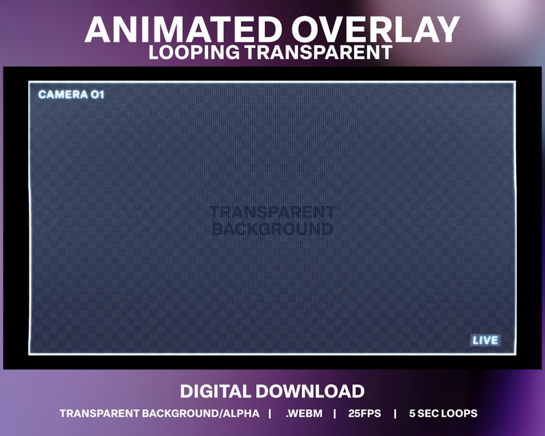 Animated CCTV Overlay Stream Pack: VHS Noise (digital Download) - Etsy