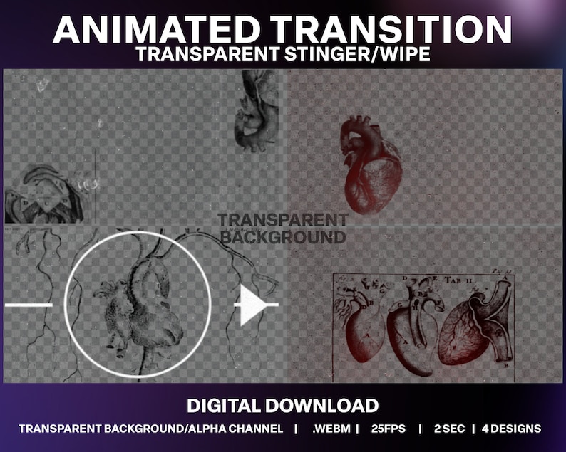 Creepy Heart Animated Stream Transition | Punk Anti Valentine Film Wipe ...