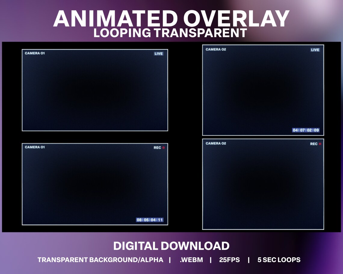 Animated CCTV Overlay Stream Pack: VHS Noise (digital Download) - Etsy