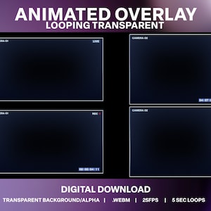 Animated CCTV Overlay Stream Pack: VHS Noise (digital Download) - Etsy