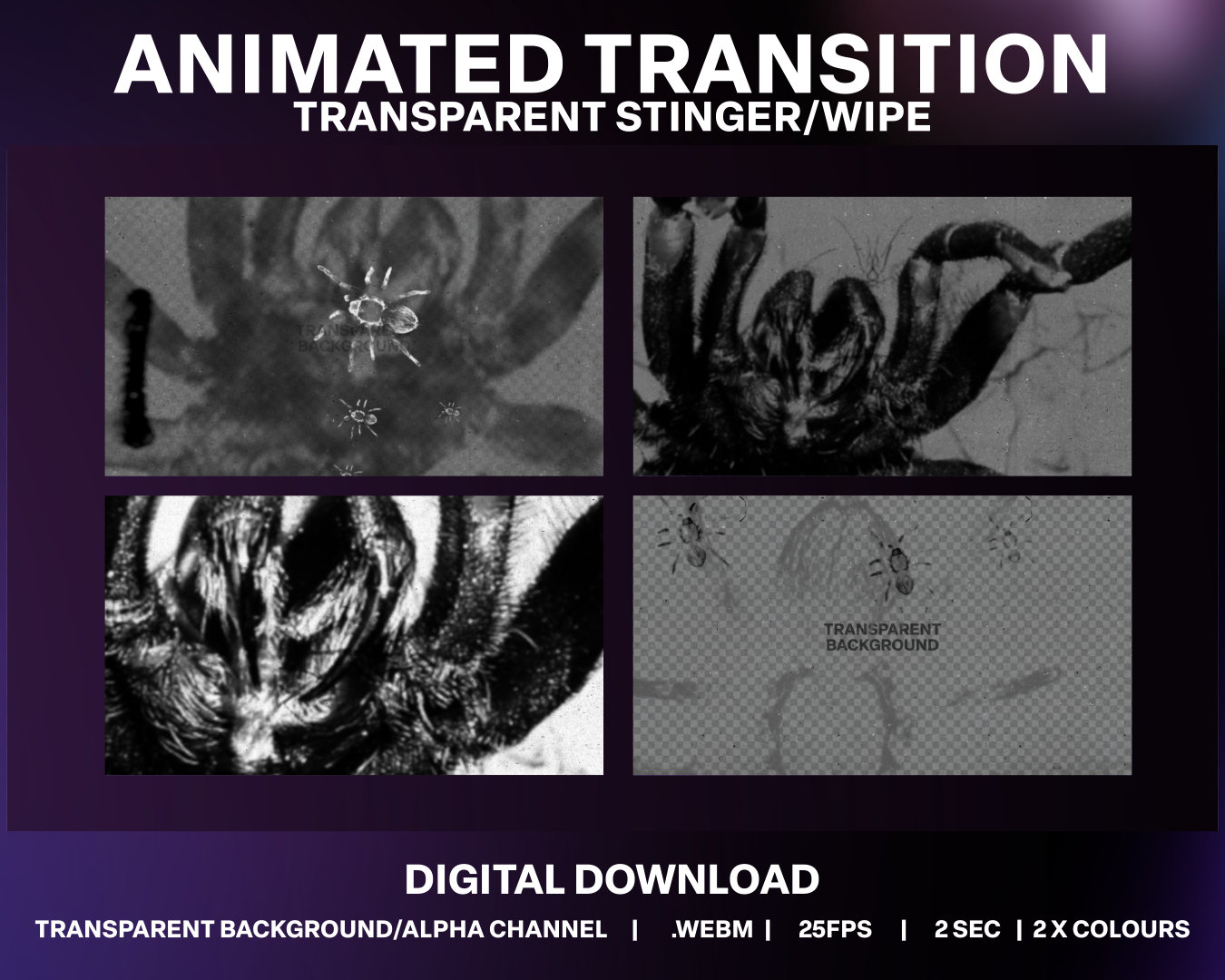 Horror Spiders Glitch Animated Transition: Halloween Stream Overlay ...