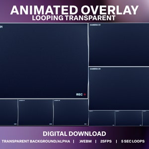 Animated CCTV Overlay Stream Pack: VHS Noise (digital Download) - Etsy