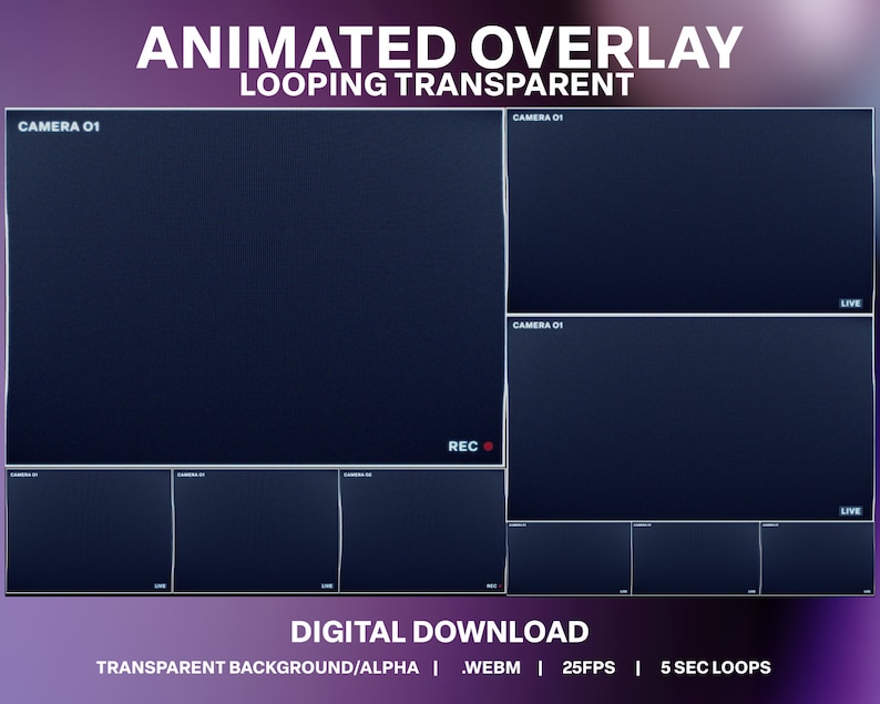 Animated CCTV Overlay Stream Pack | Web Cam Border Security Footage ...