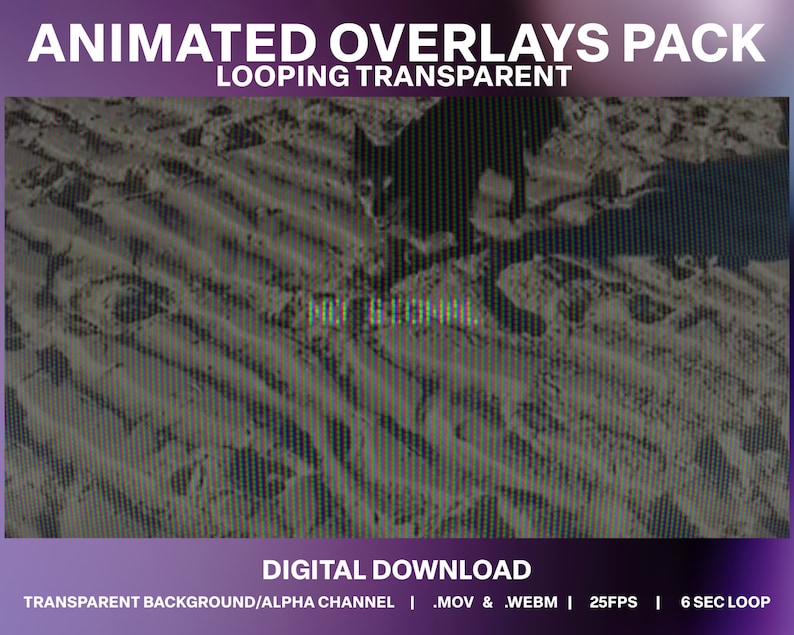 VHS Noise Animated Overlay: Retro VCR Stream Effects (digital Download ...