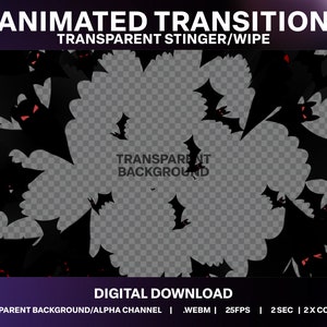 Bat Swarm Animated Stream Transition: Halloween Twitch Stinger (digital ...